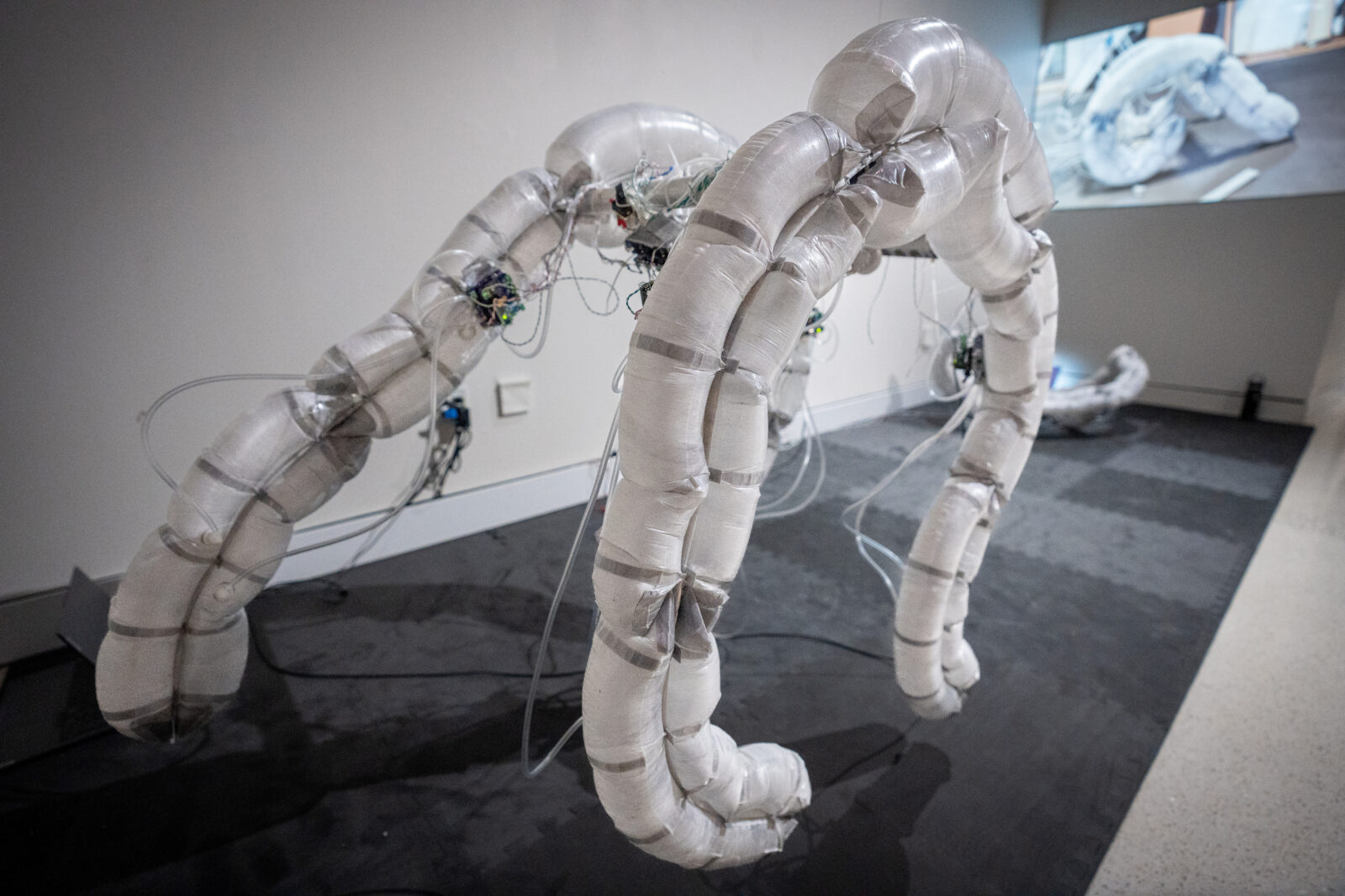 Dual Pneuma | Creative Capital