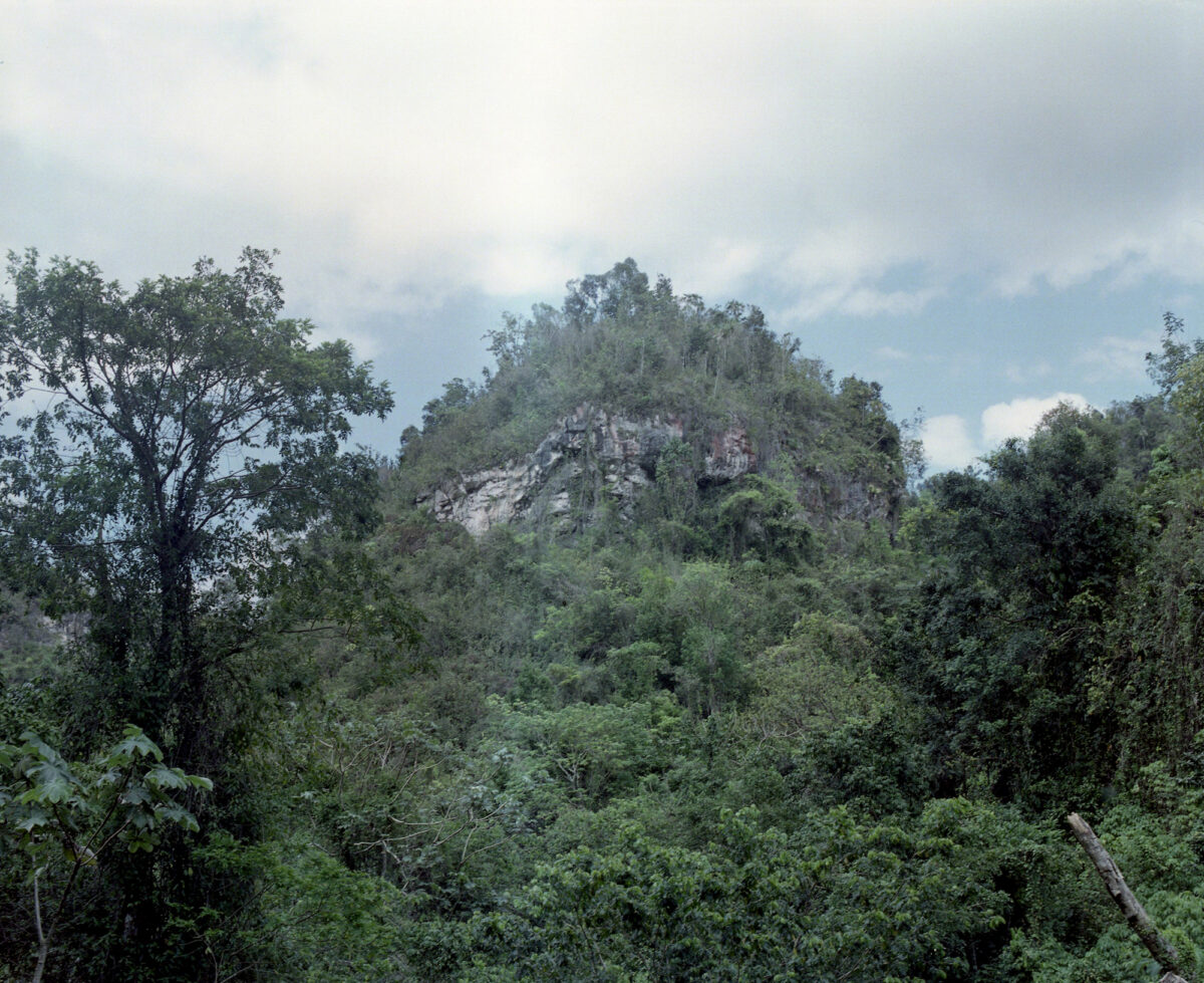 Canibalia | Creative Capital