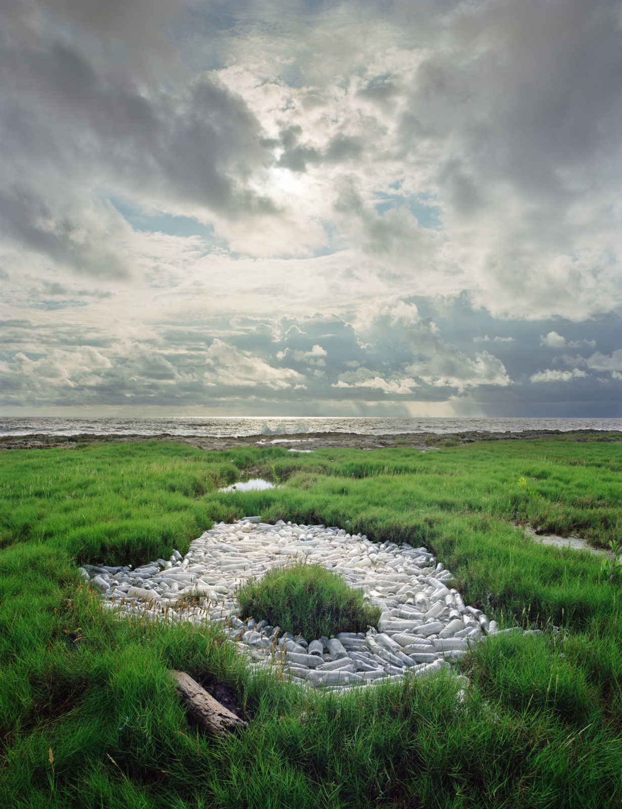 Washed Up: Transforming a Trashed Landscape | Creative Capital